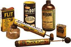 Presentation Name on emaze