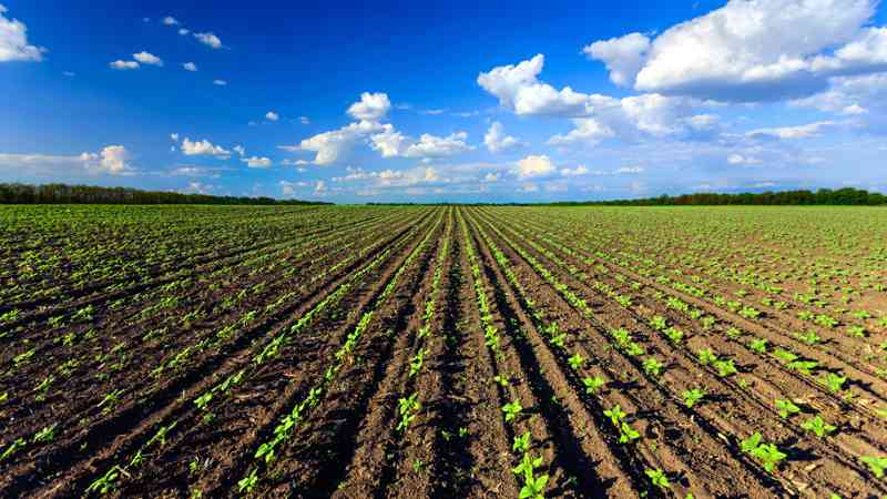 Agroecosistemas on emaze