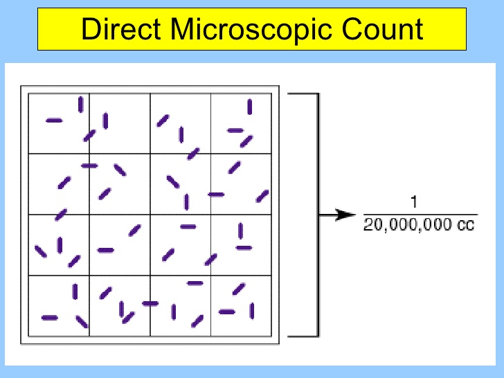 BREED SMEAR OR DMC.pptx on emaze