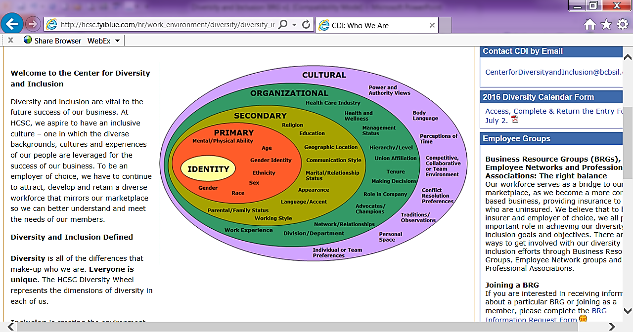 Diversity and Inclusion BRG v3.pptx on emaze
