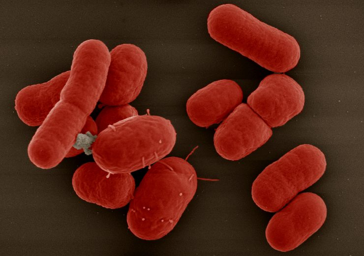 ACINETOBACTER on emaze