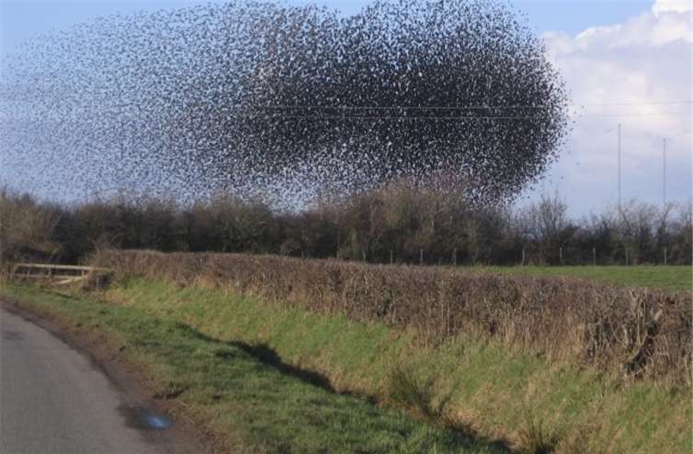 Wall Street on emaze