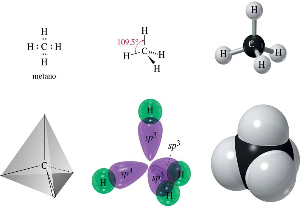 nomenclatura on emaze