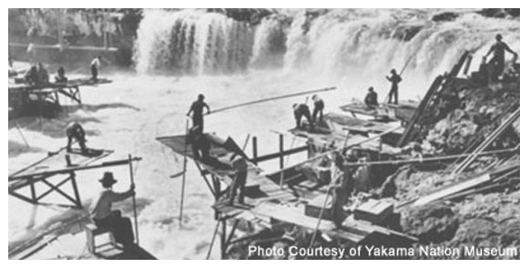 The YAKAMA tribe at emaze Presentation