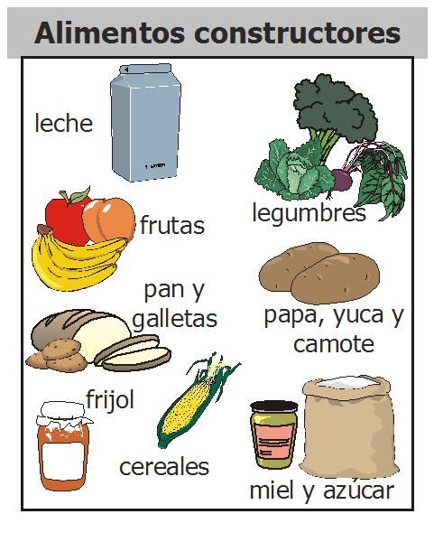 Alimentos constructores - Imagui