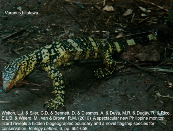 Presentation Name copy1 copy1 at emaze Presentation