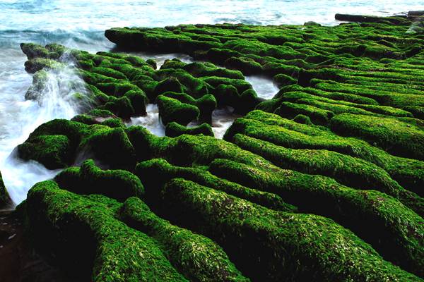 grography copy1 at emaze Presentation