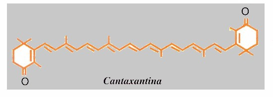 Carotenoides at emaze Presentation