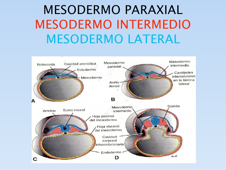 5 CAPITULO DISCO at emaze Presentation