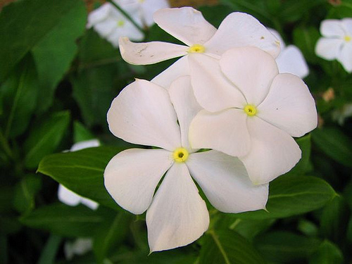 Diario at emaze Presentation