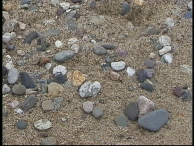 Sedimentary.pptx on emaze