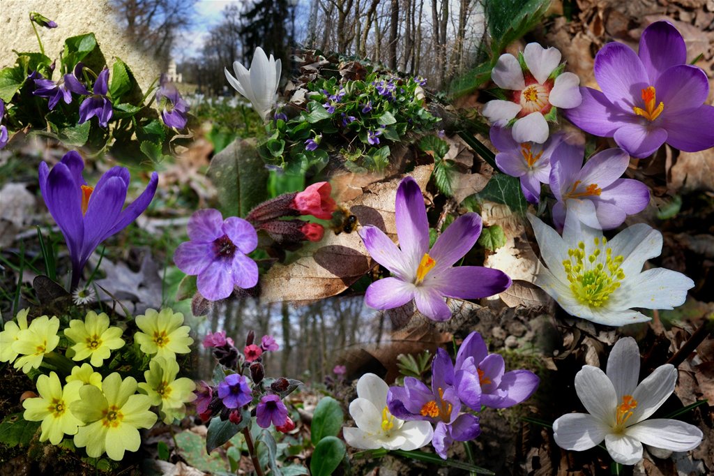 PROLJETNICE on emaze