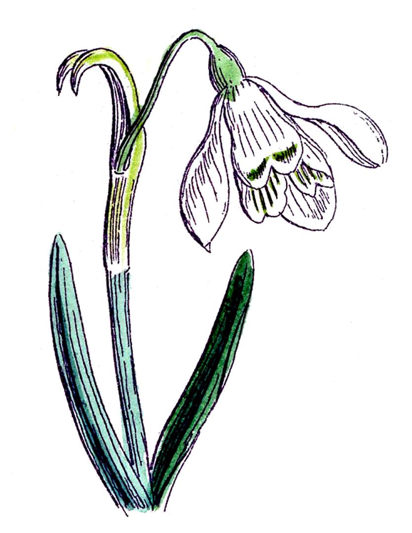 PROLJETNICE at emaze Presentation