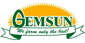 GEMSUN MARKETING on emaze