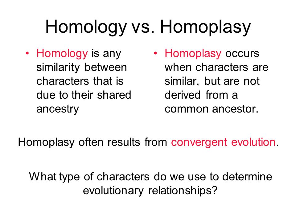 Homology vs. Homoplasy on emaze