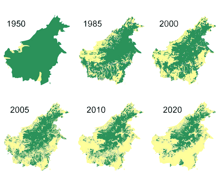 Deforestation on emaze