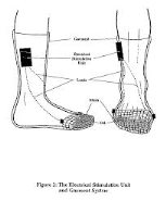 faradic current on emaze