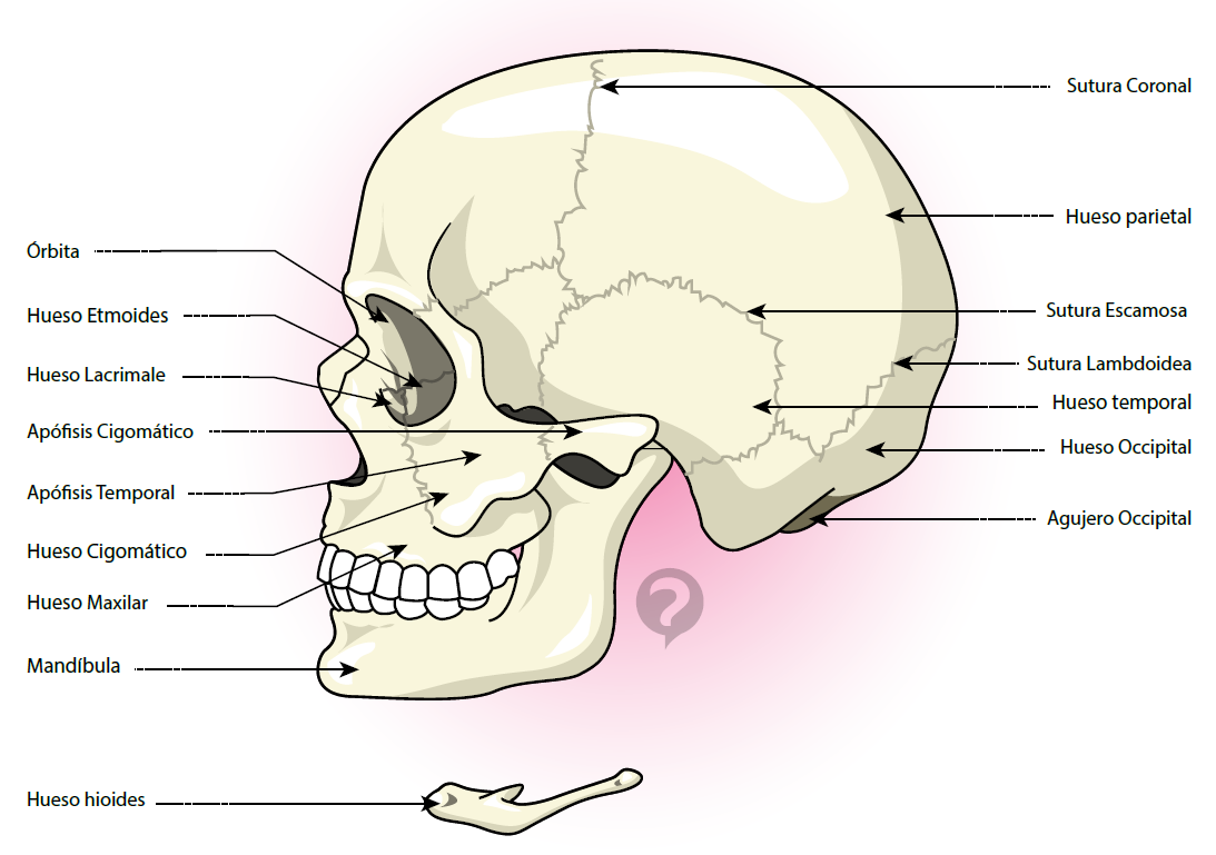 Health at emaze Presentation