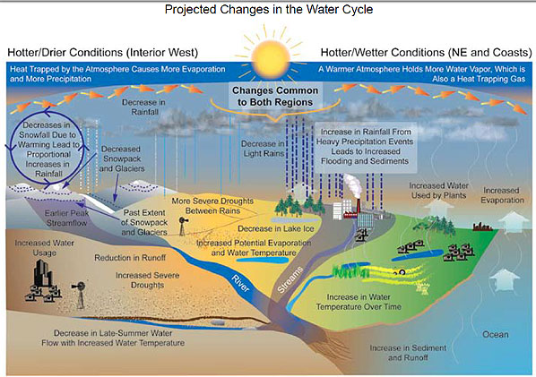 DEFORESTATION on emaze