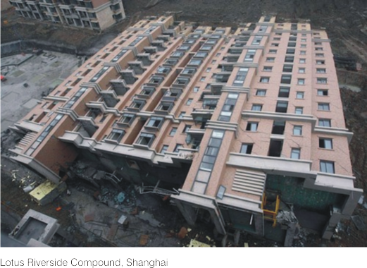 Lotus at emaze Presentation