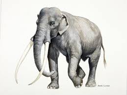 Evolution of Elephants at emaze Presentation