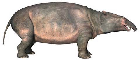 Moeritherium Ice Age