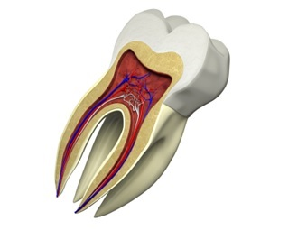 dx lesiones pulpares on emaze