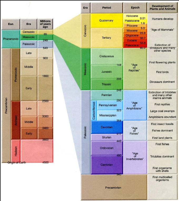 History Of Earth Permian Period Paleozoic Era