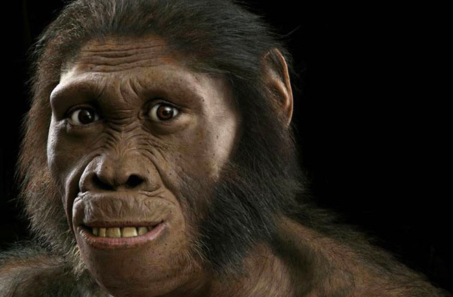 AUSTRALOPITHECUS on emaze