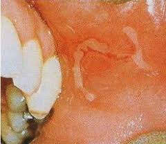 Presentation Name on emaze