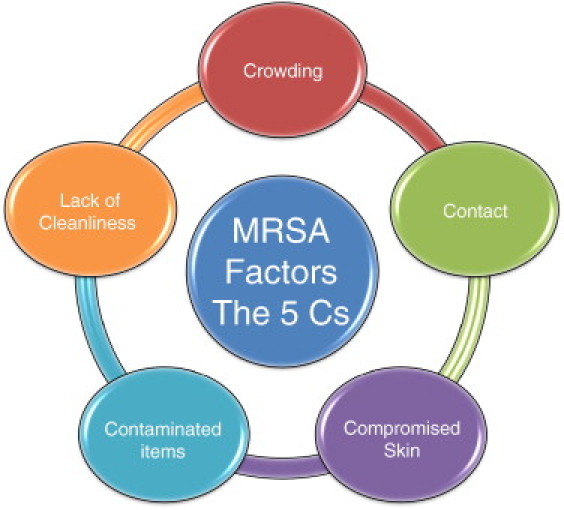 MRSA on emaze