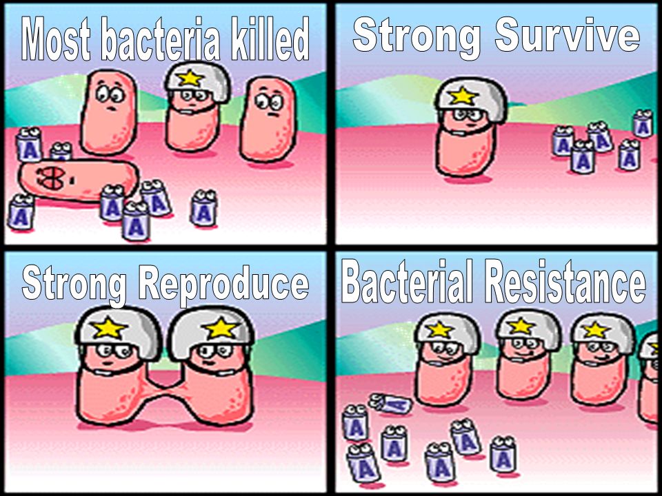 MRSA at emaze Presentation