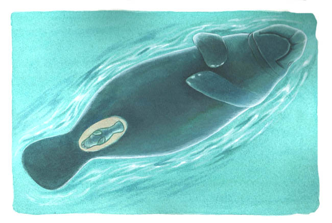 manati copy1 at emaze Presentation