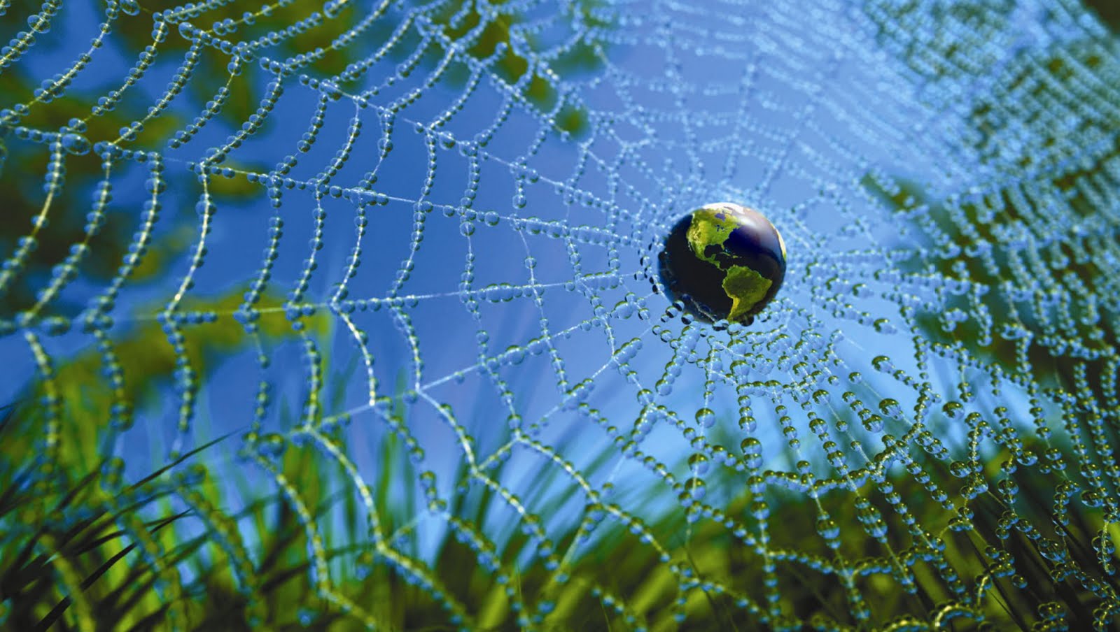 The web of life on emaze