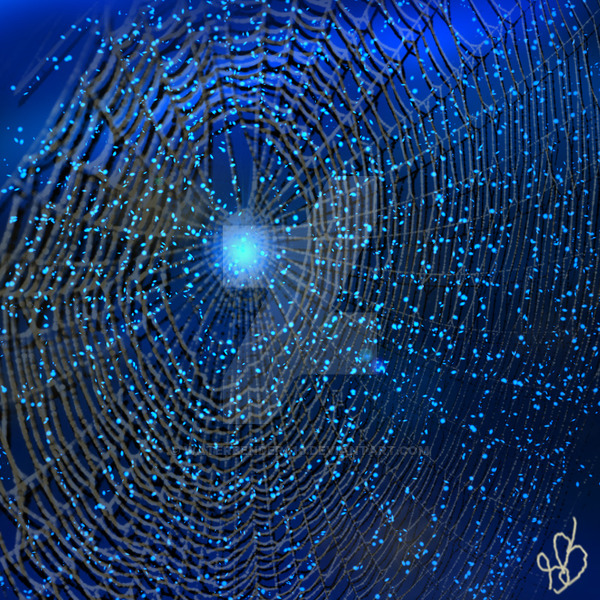 The web of life on emaze