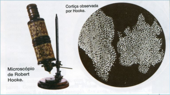 Biologia celular on emaze