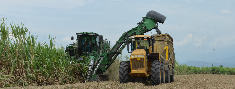 INGENIO RIO PAILA CASTILLA on emaze