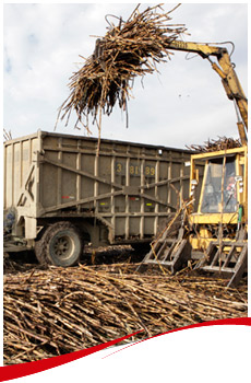 INGENIO RIO PAILA CASTILLA on emaze