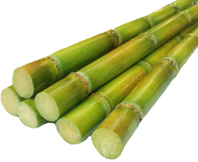 INGENIO RIO PAILA CASTILLA on emaze