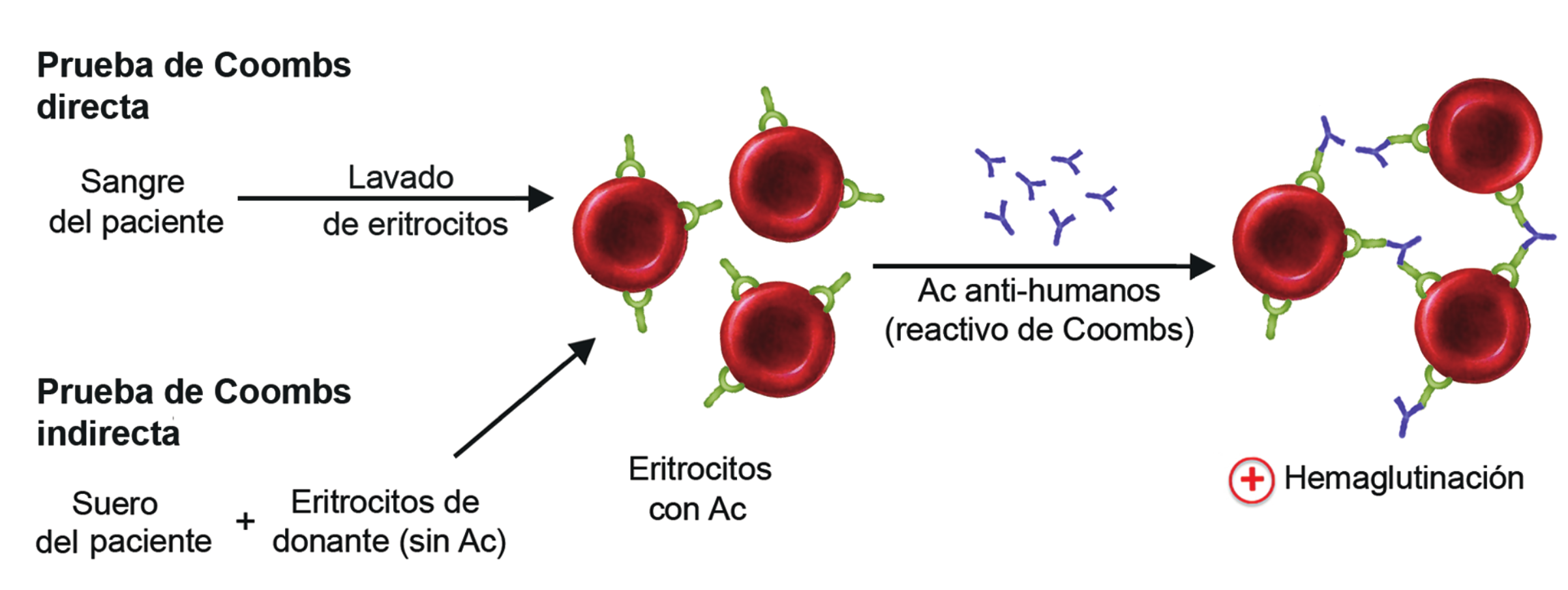Presentation Name on emaze