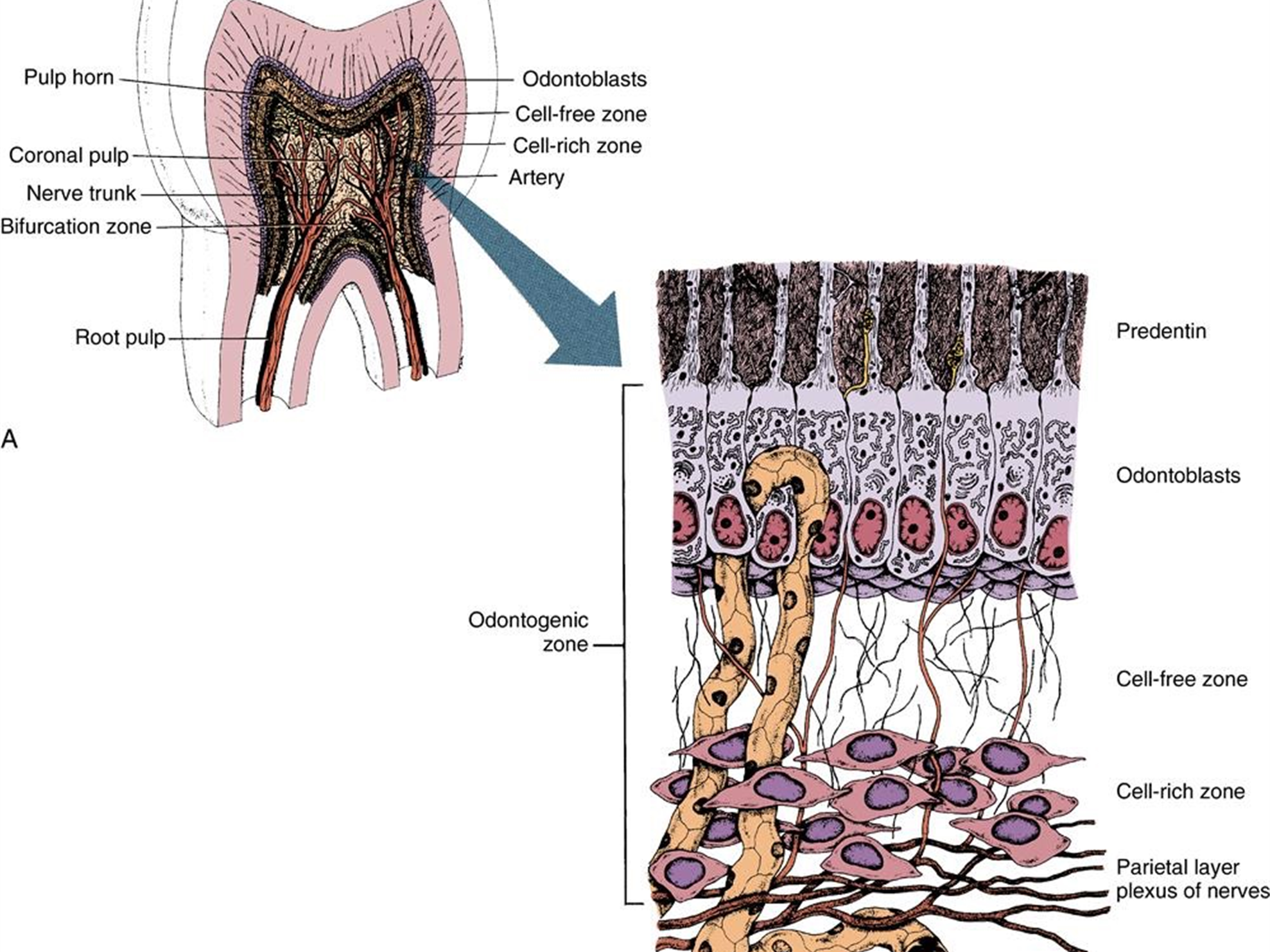 Breaking News on emaze