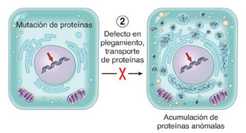 Acumulaciones On Emaze