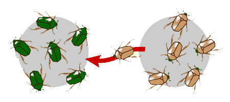 Poblaciones on emaze