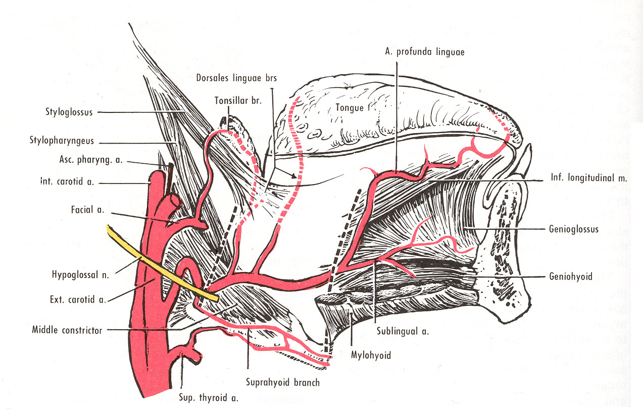 Presentation Name at emaze Presentation