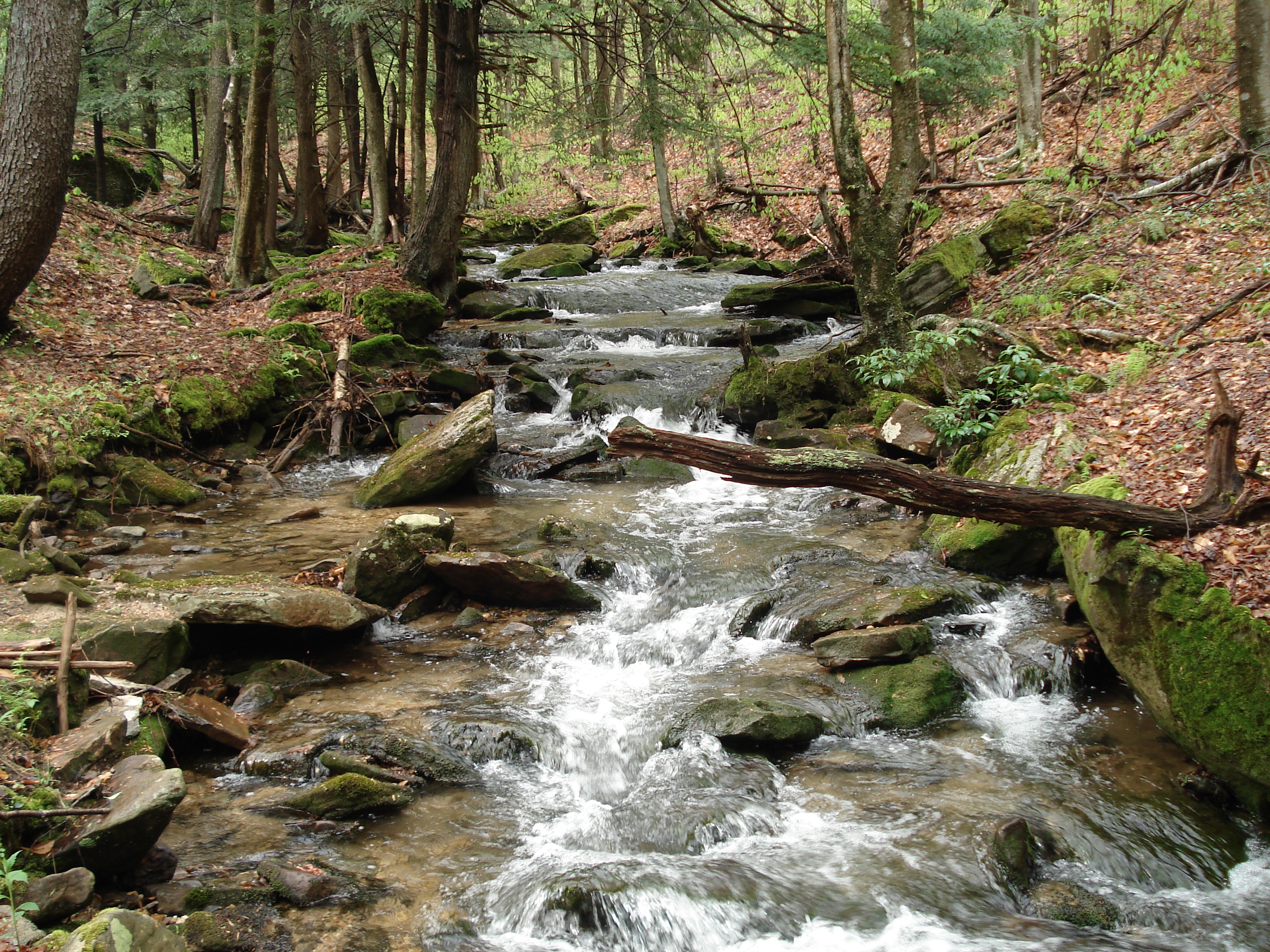 Creeks at emaze Presentation