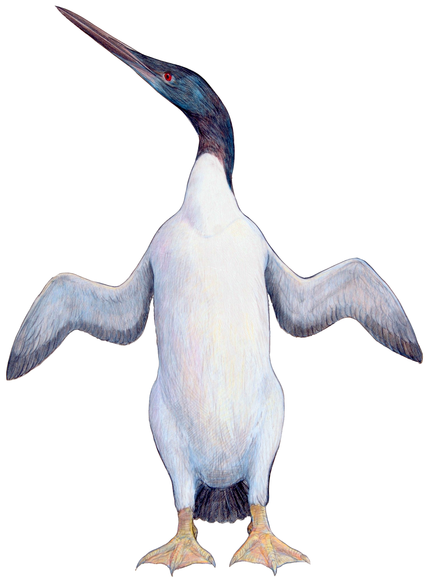 Under the Sea at emaze Presentation