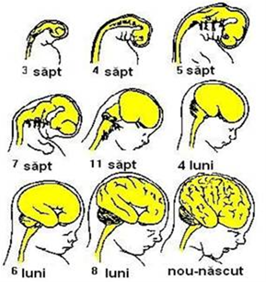 at emaze Presentation