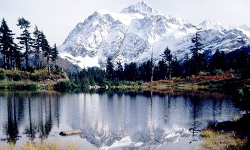 Alpine Biome at emaze Presentation