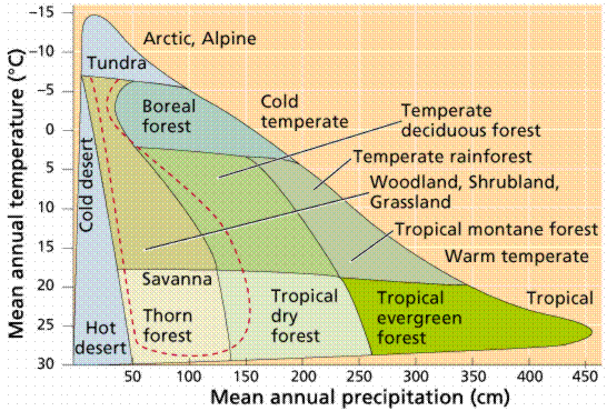Alpine Biome at emaze Presentation