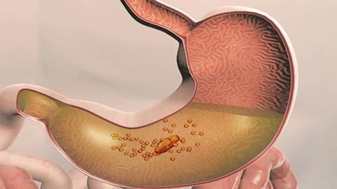 FISIOLOGIA DE LA DIGESTION copy2 on emaze